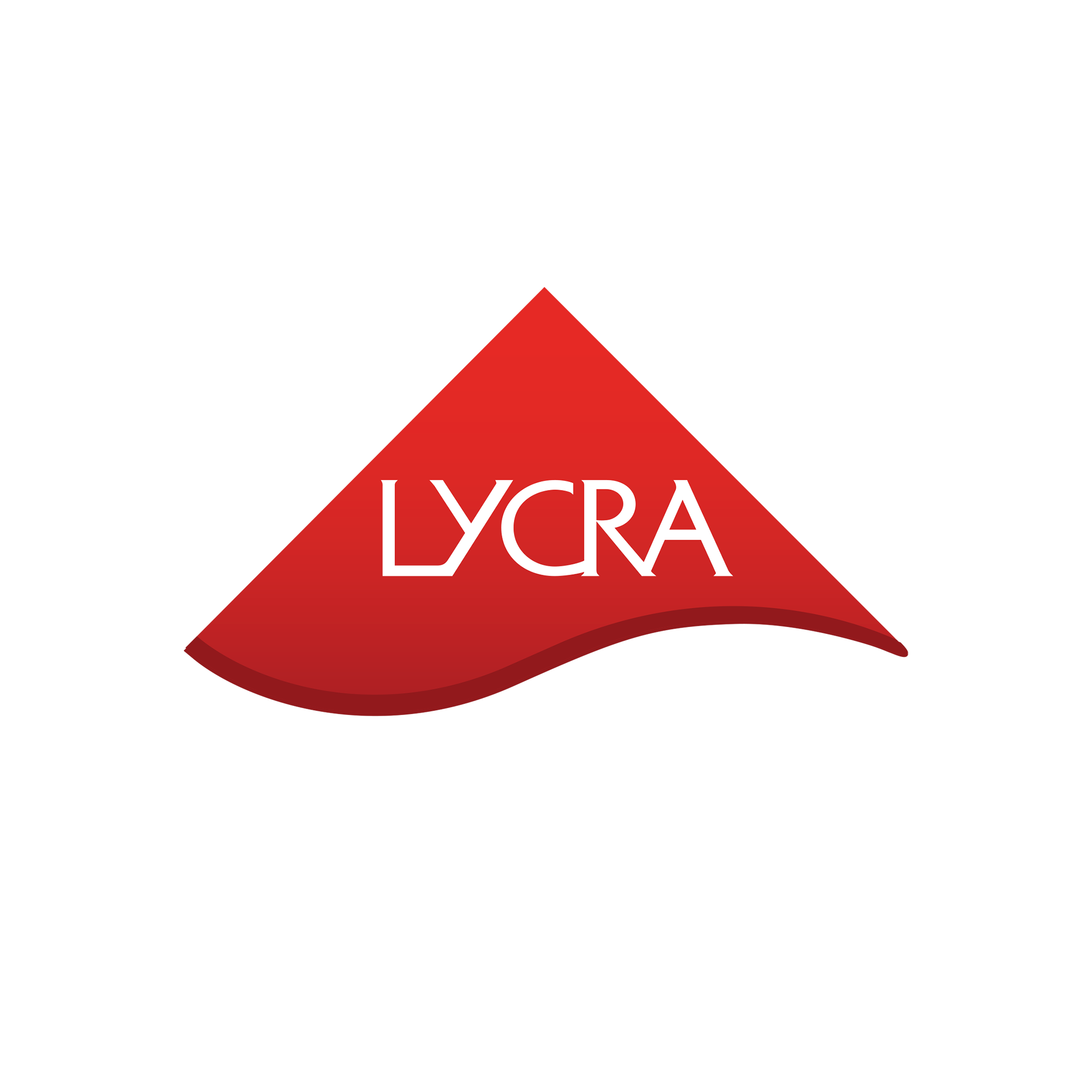 Sustainability And Manufacturing Excellence At The Lycra Company
